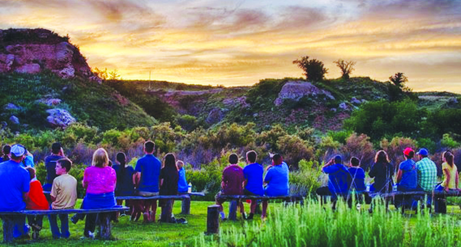 Selman Bat watches on hold for 2023 Season - McIntosh Democrat