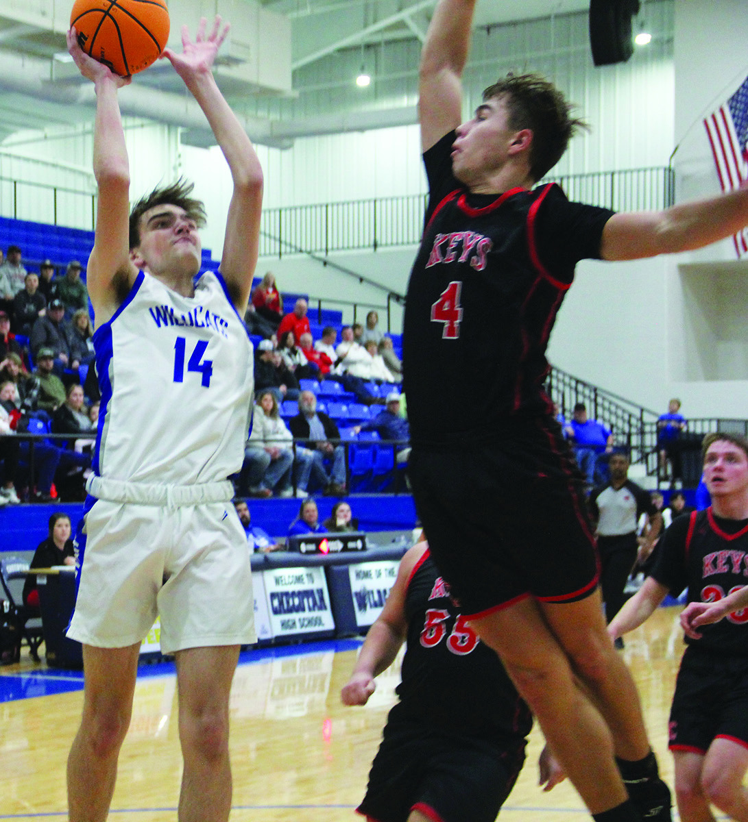 Rowan Chapman - McIntosh Democrat Sites