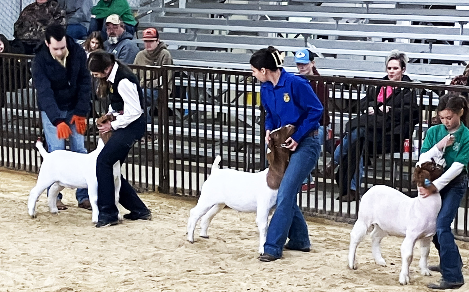 Winners of the Jan. 18 McIntosh County Spring Livestock Show - McIntosh ...