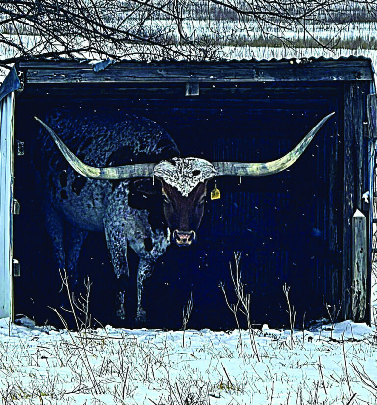 2026 Specialty Crop Block Grants Now Available - McIntosh Democrat